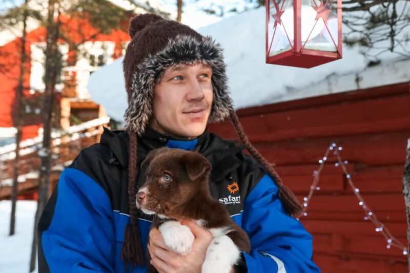 Rovaniemi: Daytime Husky Safari - Authenticity and Experience Highlights