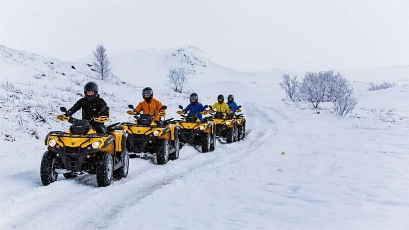 Rovaniemi: Delightful Quad Bike Ride in the Arctic Circle - Final Thoughts