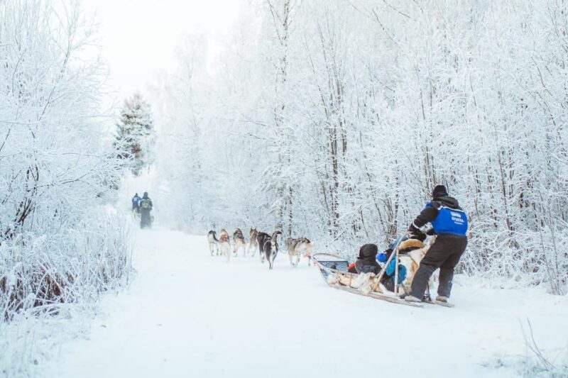 Rovaniemi: Early Winter Husky Sled Ride - FAQ