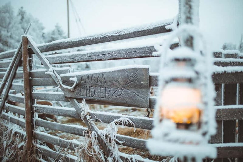 Rovaniemi: Early Winter Reindeer Sleigh Ride 1-2 km - An In-Depth Look at the Reindeer Sleigh Ride