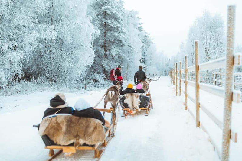 Rovaniemi: Early Winter Reindeer Sleigh Ride 1-2 km - FAQ