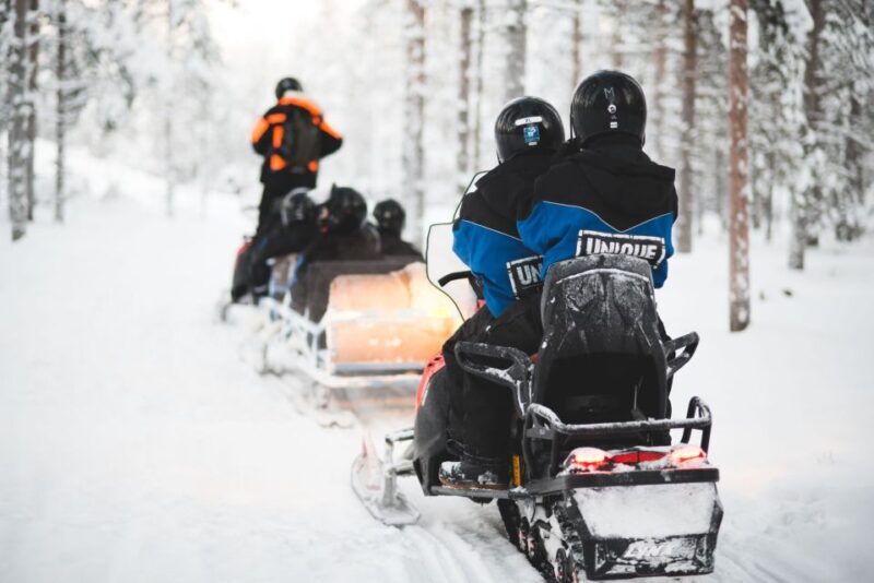 Rovaniemi: Easy Snowmobile Safari - An Introduction to the Experience