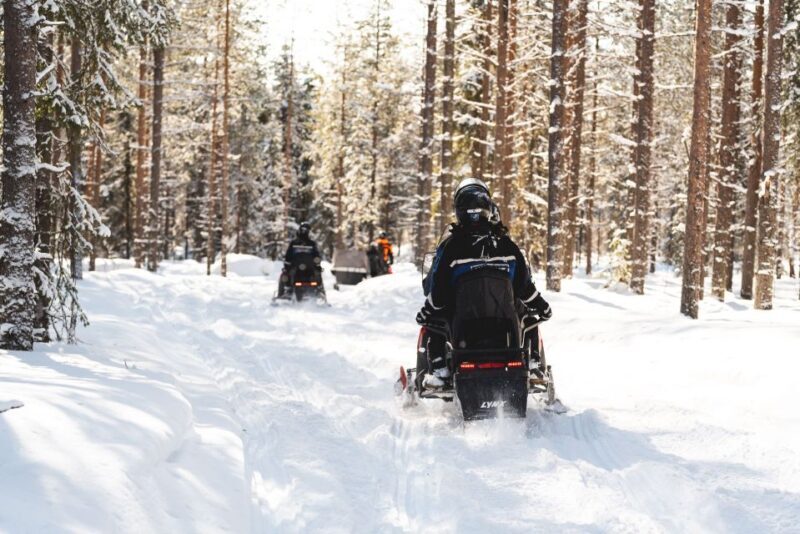 Rovaniemi: Easy Snowmobile Safari - Authentic Experiences and Review Insights