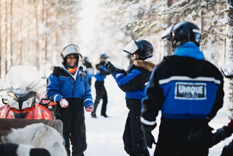 Rovaniemi: Easy Snowmobile Safari - The Sum Up