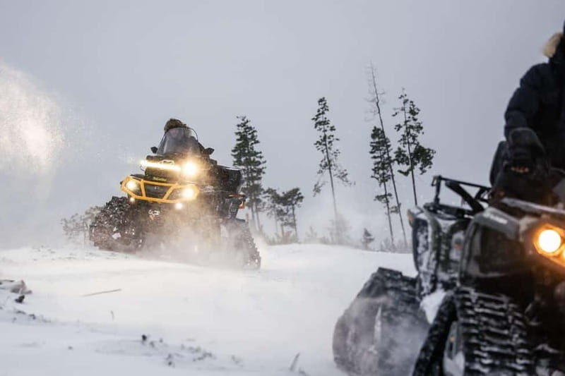 Rovaniemi Expedition "INTO THE WILD" and Glass Igloo Lunch - Exploring the Arctic: What to Expect
