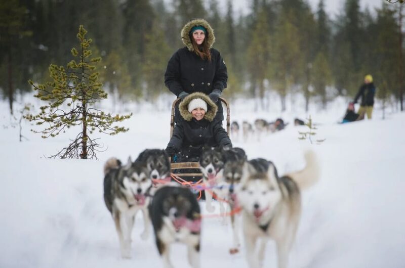 Rovaniemi: Family Friendly Husky Ride and Farm Visit - The Sum Up
