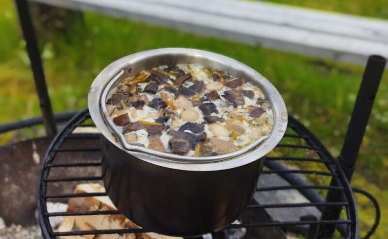 Rovaniemi forest foraging adventure: Pick, Prepare, Savor - Itinerary Breakdown