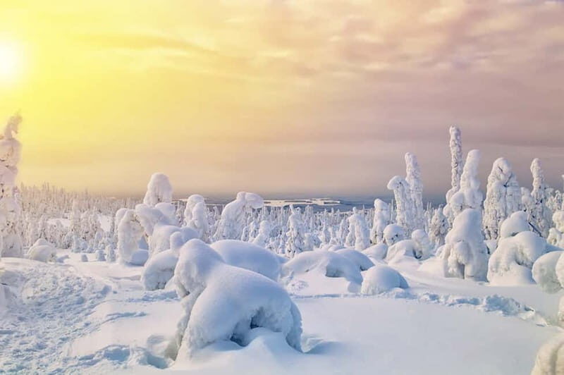 Rovaniemi: Full-Day Highlights Tour with Buffet Lunch - Additional Details and Practical Tips