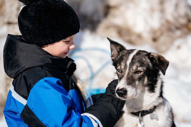 Rovaniemi: Full-Day Snow and Fun Activities - Rovaniemi: Full-Day Snow and Fun Activities – An Authentic Arctic Experience
