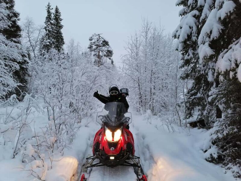 Rovaniemi: Full-Day Snowmobile Adventure - Key Points