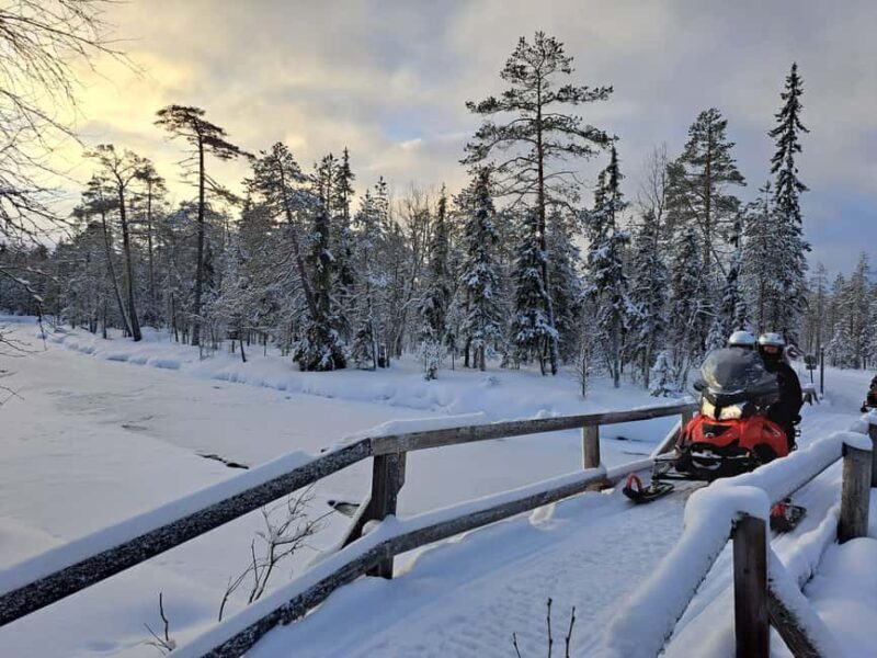 Rovaniemi: Full-Day Snowmobile Adventure - A Journey Through Finnish Lapland’s Snowy Beauty