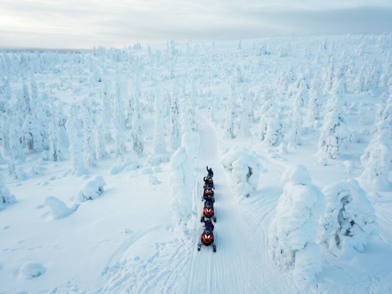 Rovaniemi: Full Day Snowmobile Safari into the Wilderness - An In-depth Look at the Rovaniemi Snowmobile Safari