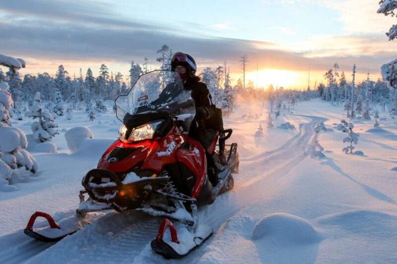 Rovaniemi: Full Day Snowmobile Safari into the Wilderness - Final Thoughts