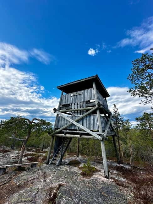 Rovaniemi: Full-Day Tour to Lapland's Best Attractions - The Transportation and Group Size