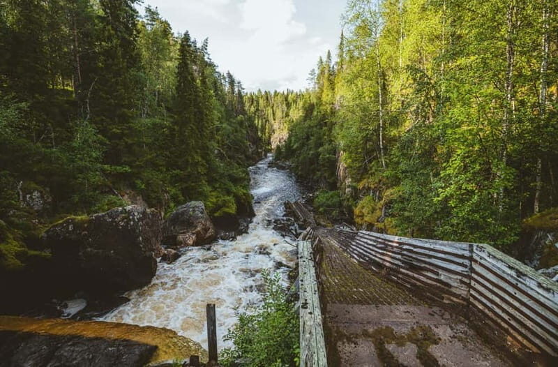 Rovaniemi: Full-Day Tour to Lapland's Best Attractions - Why Choose This Tour?