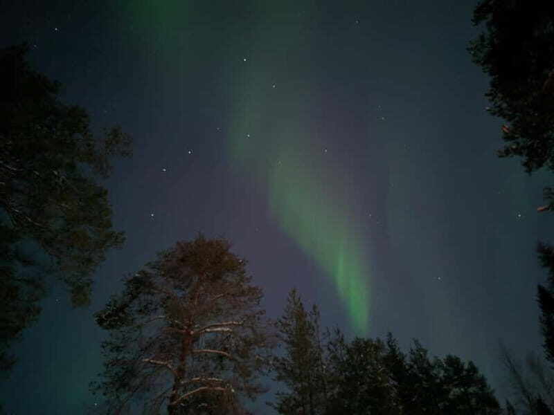 Rovaniemi: Guaranteed Northern Lights Magic Adventure - An Honest Look at the Northern Lights Tour in Rovaniemi