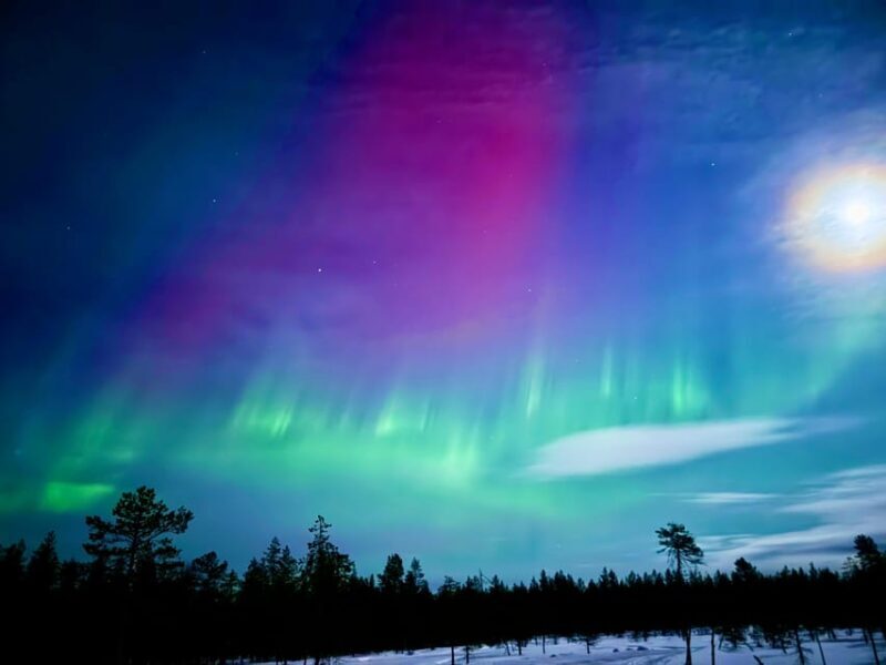 Rovaniemi: Guaranteed Northern Lights Tour - A Detailed Look at the Tour Experience