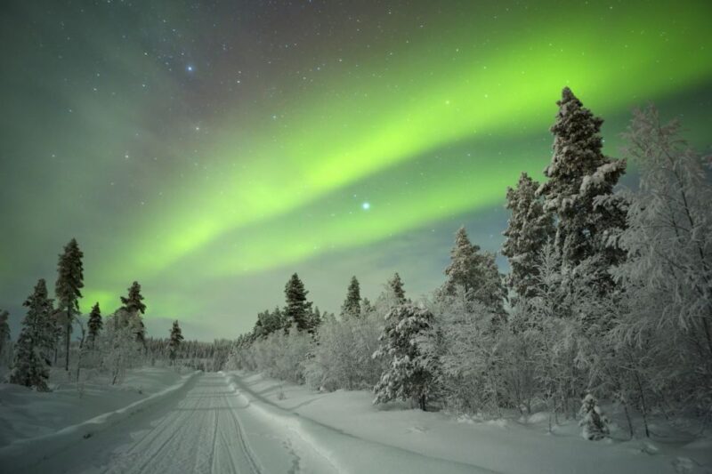 Rovaniemi: Guided Northern Lights Tour - A Detailed Look at the Northern Lights Tour in Rovaniemi
