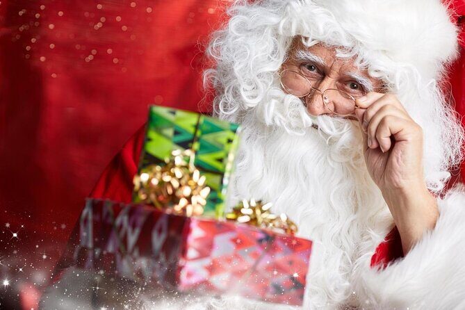 Rovaniemi Guided Tour and Santa Claus Village - Rovaniemi Guided Tour and Santa Claus Village: A Practical Look