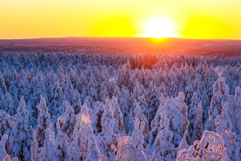 Rovaniemi: Guided Wilderness Snowmobile Ride - An Introduction to the Experience
