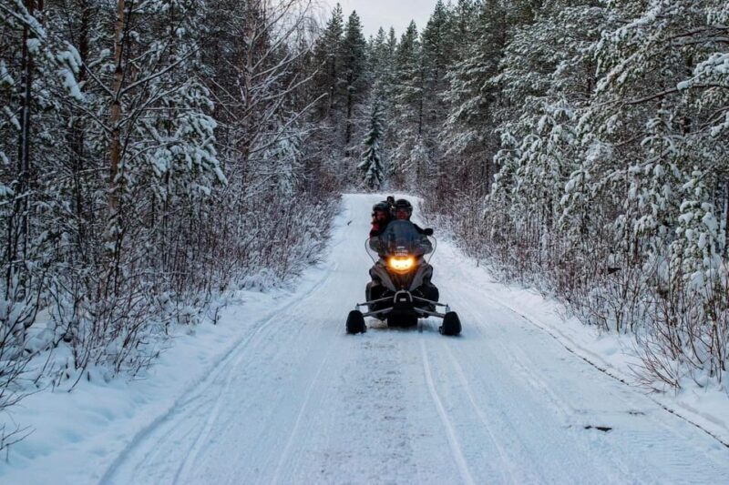 Rovaniemi: Guided Wilderness Snowmobile Safari & Barbeque - What’s Included and How the Tour Works