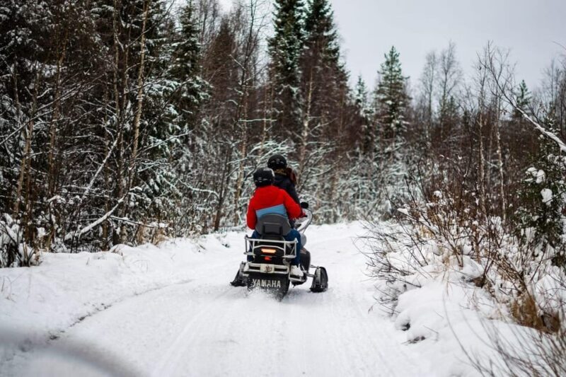 Rovaniemi: Guided Wilderness Snowmobile Safari & Barbeque - Safety and Family-Friendliness