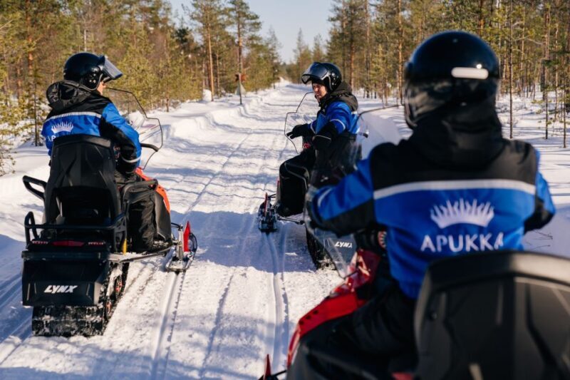 Rovaniemi: Half-Day Snowmobile Tour - Key Points
