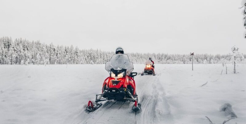 Rovaniemi: Half-Day Snowmobile Tour - An In-Depth Look at the Rovaniemi Snowmobile Tour