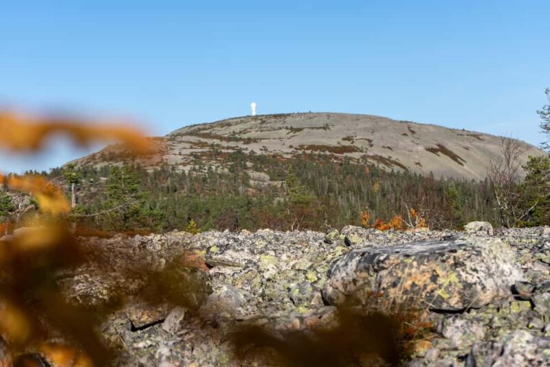 Rovaniemi: Hike Trip to Amethyst Mine & Luosto National Park - Who Should Consider This Tour?