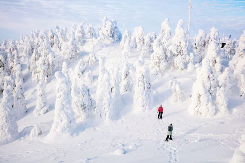 Rovaniemi: Hiking and Snowshoeing Adventure in Lapland - Key Points