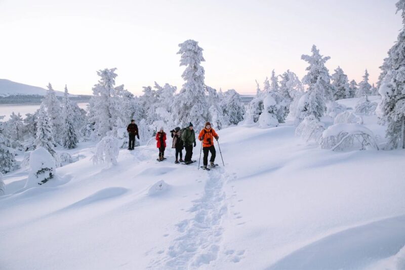 Rovaniemi: Hiking and Snowshoeing Adventure in Lapland - Practicalities and What You Should Know