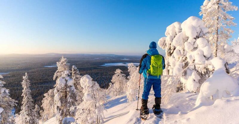 Rovaniemi: Hiking and Snowshoeing Adventure in Lapland - Final Thoughts