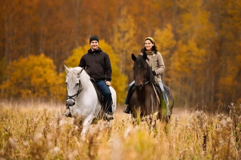 Rovaniemi: Horse Riding in Arctic Wilderness - What Makes This Tour Stand Out