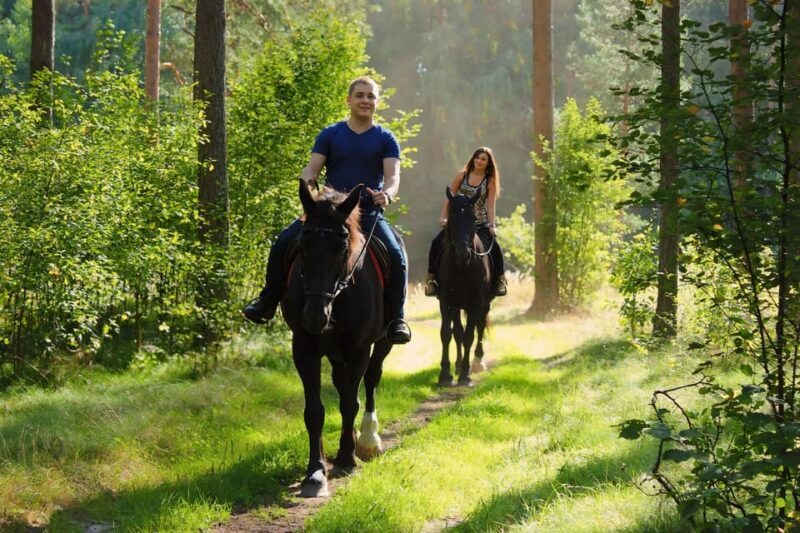 Rovaniemi: Horse Riding in Arctic Wilderness - The Value of the Experience