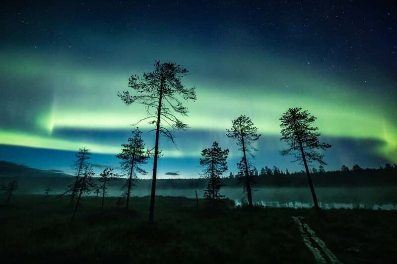 Rovaniemi: Horse Sleigh Ride under the Night Sky - An In-Depth Look at the Experience