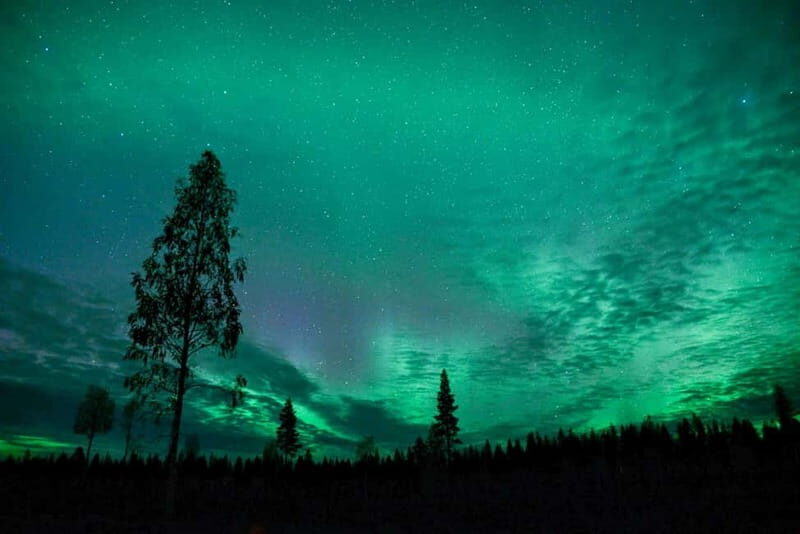 Rovaniemi: Horse Sleigh Ride under the Night Sky - FAQ