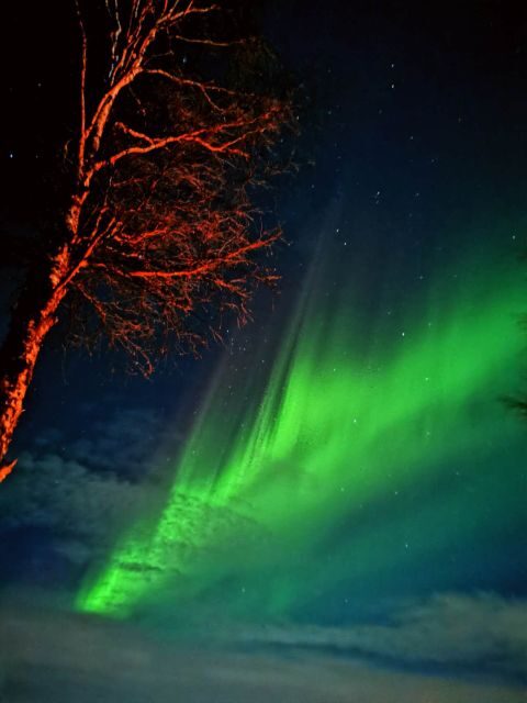 Rovaniemi Hunting Aurora at the Best Spots - Who Should Consider This Experience?