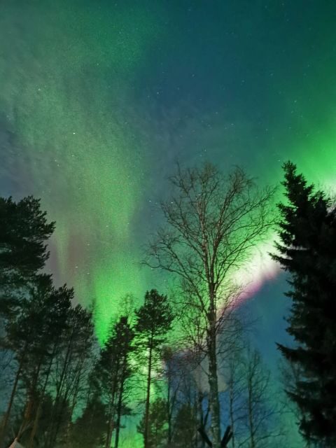 Rovaniemi Hunting Aurora at the Best Spots - FAQ