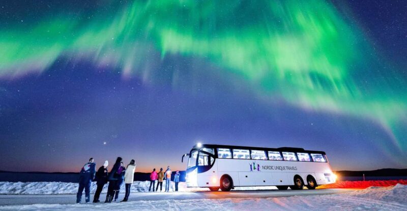 Rovaniemi: Hunting Northern Lights Bus Tour - Scenic Stops and What to Expect