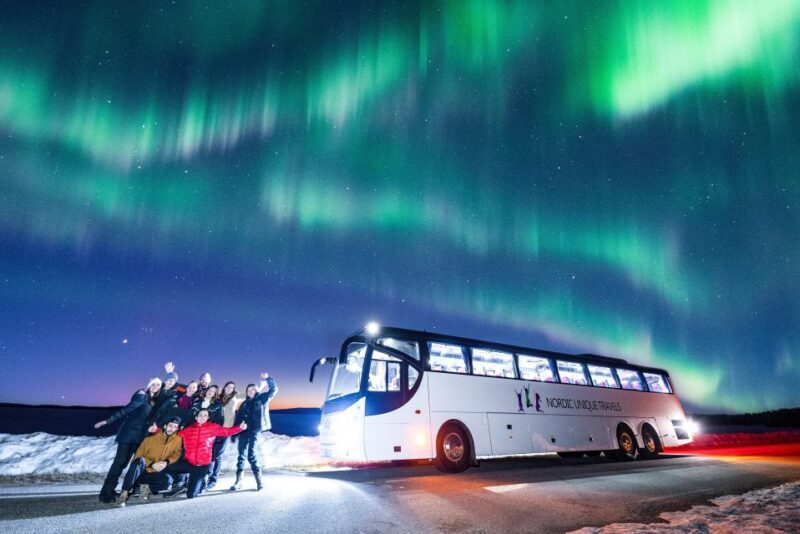 Rovaniemi: Hunting Northern Lights Bus Tour - Authentic Experiences and Practical Insights from Reviews
