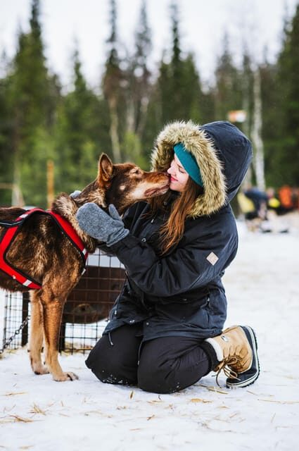 Rovaniemi: Husky and Reindeer farm with sleigh ride - Final Thoughts
