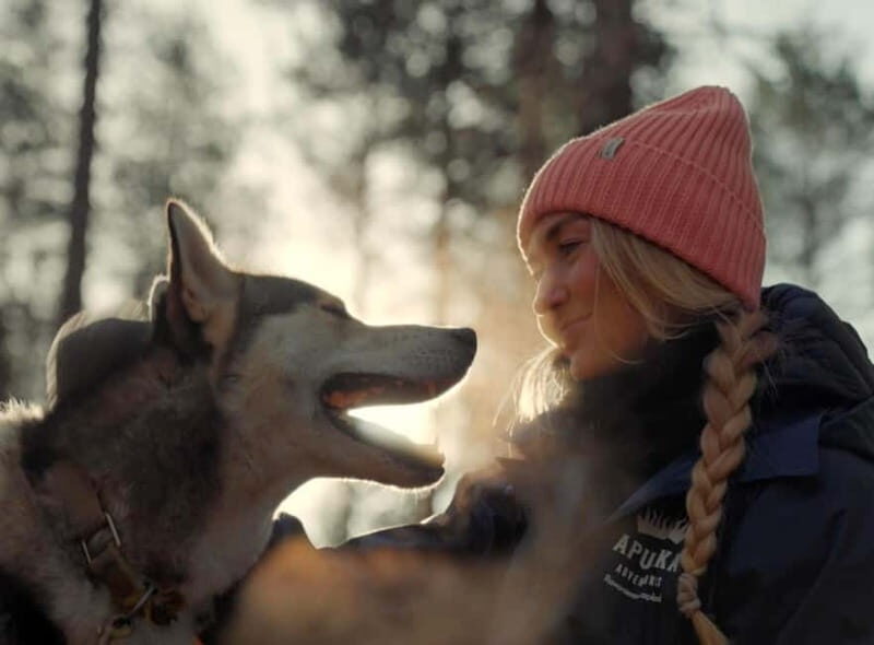 Rovaniemi: Husky Farm Visit - The Itinerary: What to Expect