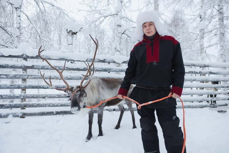 Rovaniemi: Husky & Reindeer Experience with Snowmobile Ride - A Thorough Look at the Tour: What You Can Expect