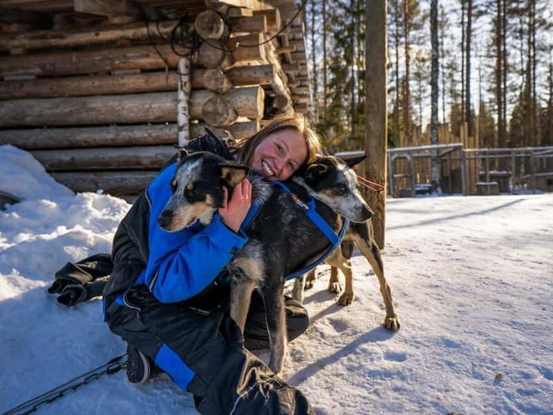 Rovaniemi: Husky Safari & Campfire BBQ  610 km SelfDrive - Key Points