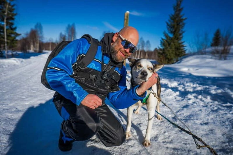 Rovaniemi: Husky Safari & Campfire BBQ  610 km SelfDrive - The Sum Up: A Genuine Arctic Adventure