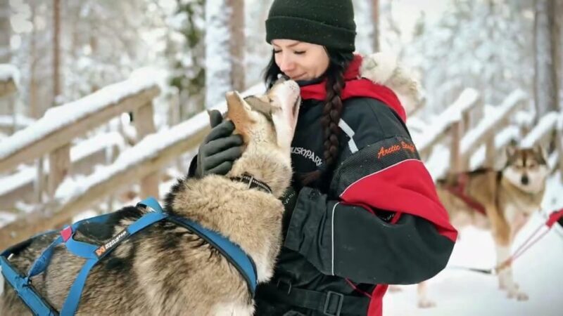 Rovaniemi: Husky Sled Ride and Farm Visit - FAQ
