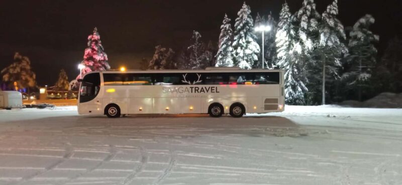 Rovaniemi: Insider Northern Lights Bus with Drinks & Snacks - The Itinerary: What to Expect on a 3-Hour Night Drive