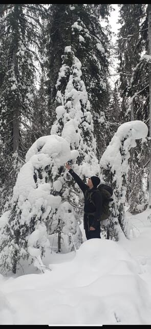 Rovaniemi: Korouoma Canyon Frozen Waterfalls Day Trip - Key Points