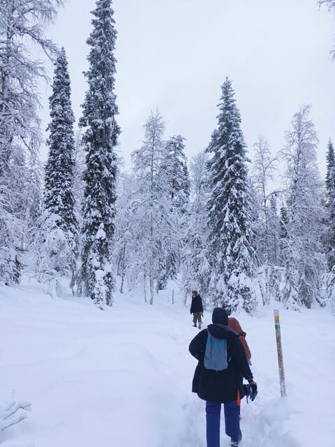Rovaniemi: Korouoma Canyon Frozen Waterfalls Guided Hike - Key Points