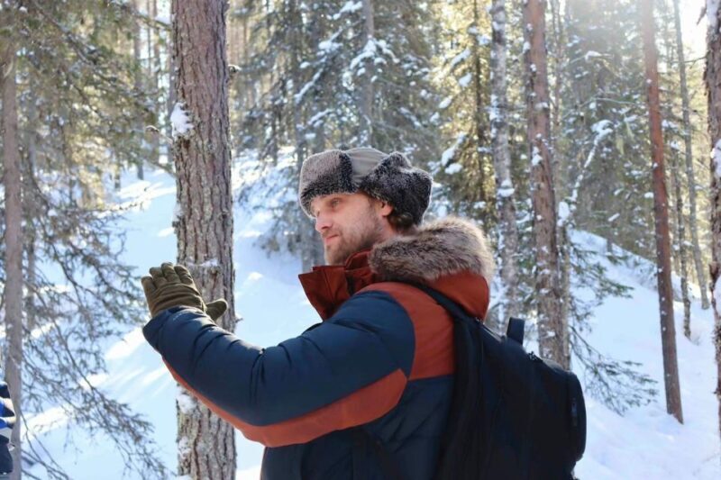 Rovaniemi: Korouoma Canyon Frozen Waterfalls Guided Hike - Who Will Love This Tour?